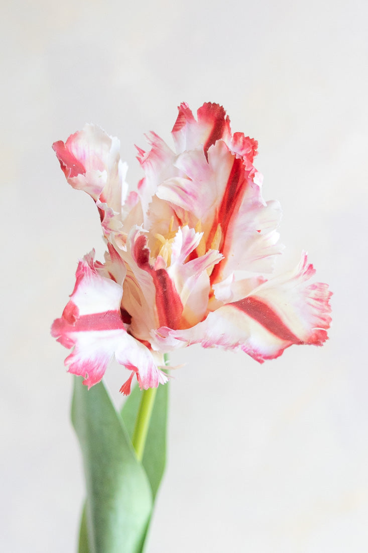 Artificial Tulip Flower | Peppermint Swirl & Elements By Tracey