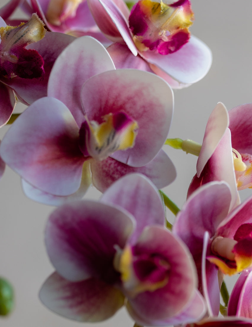 Mini Faux Phalaenopsis Orchids | Berry Pink & Elements By Tracey
