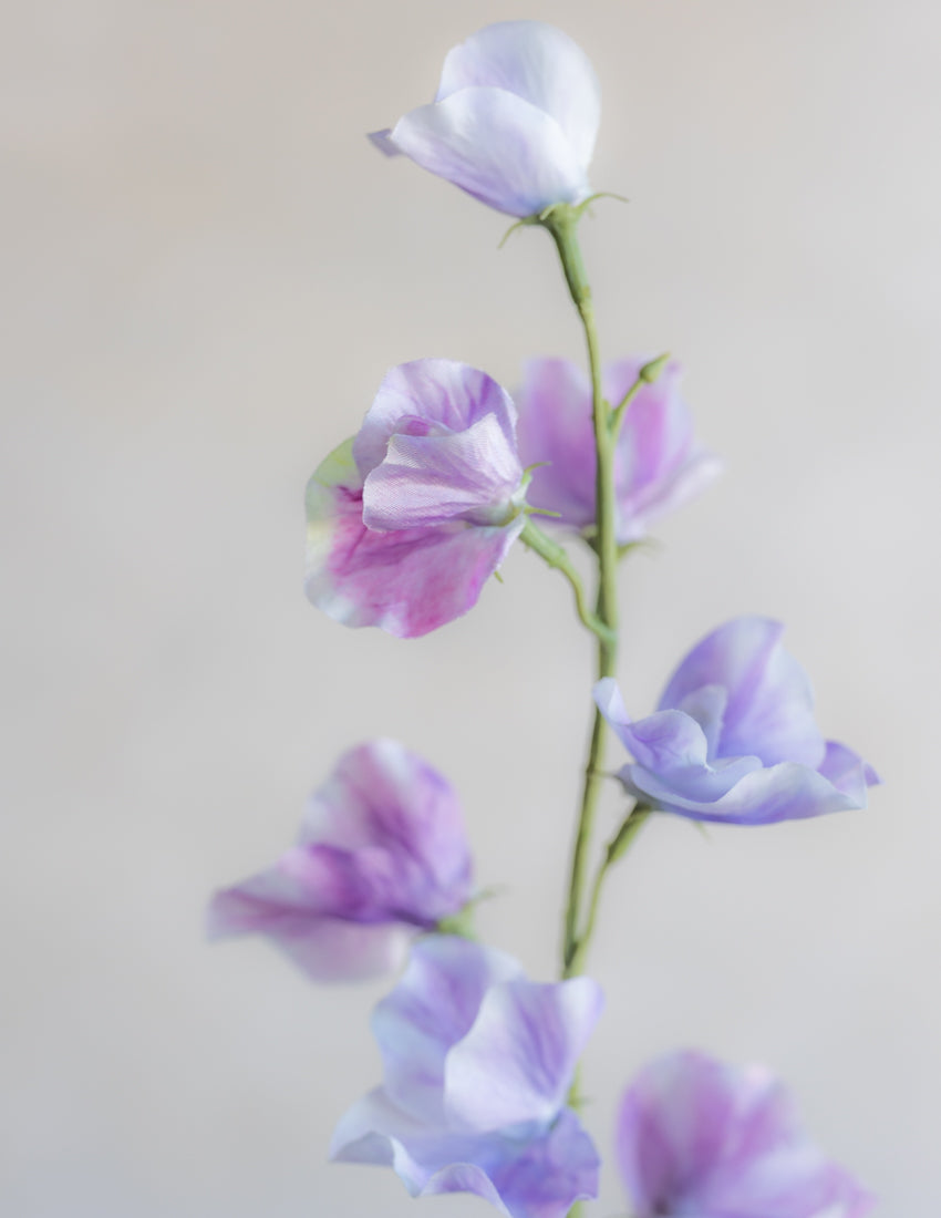 Silk Sweet Pea Flower | Lavender Dream & Elements By Tracey