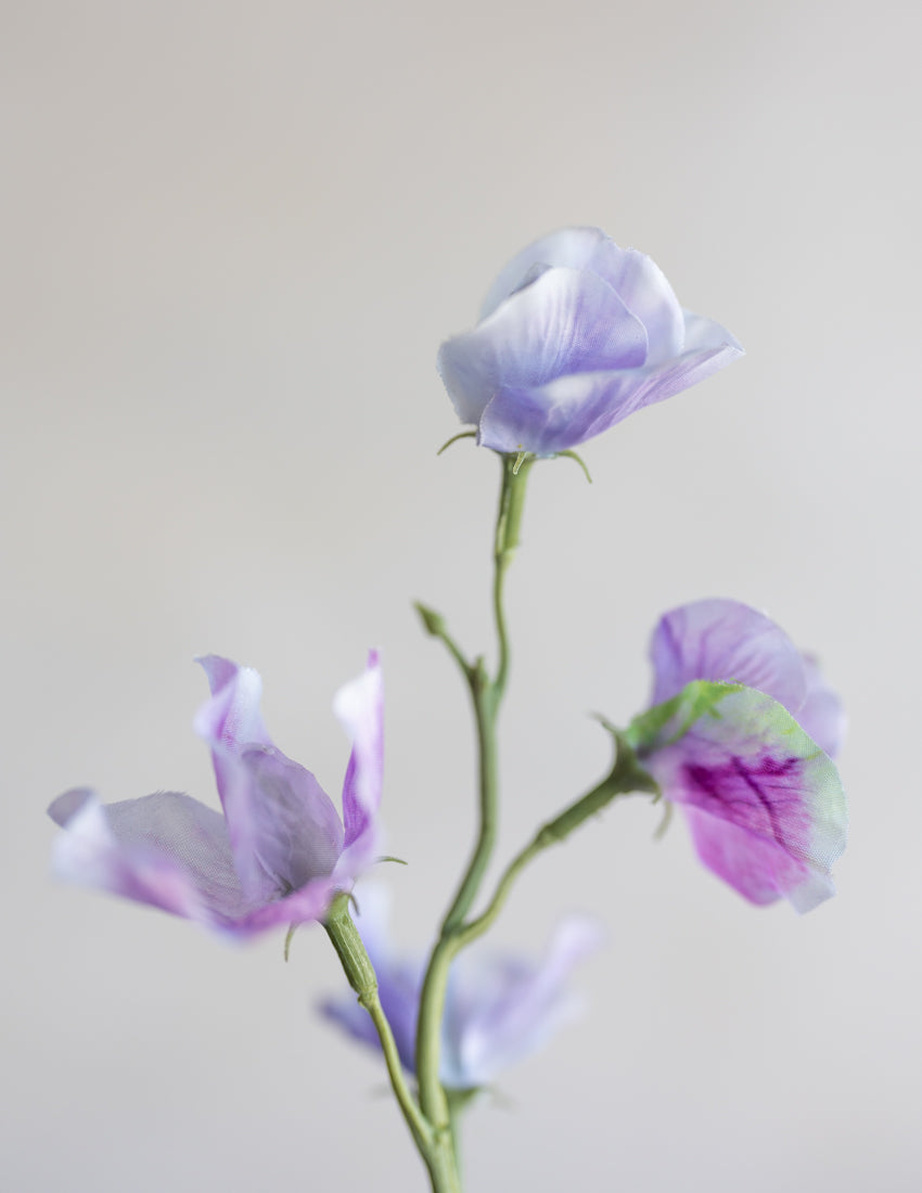 Silk Sweet Pea Flower | Lavender Dream & Elements By Tracey