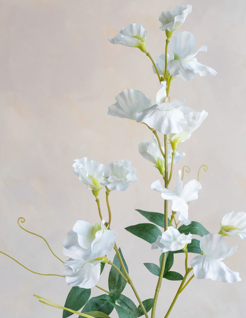 Silk Sweet Pea Flower | White & Elements By Tracey