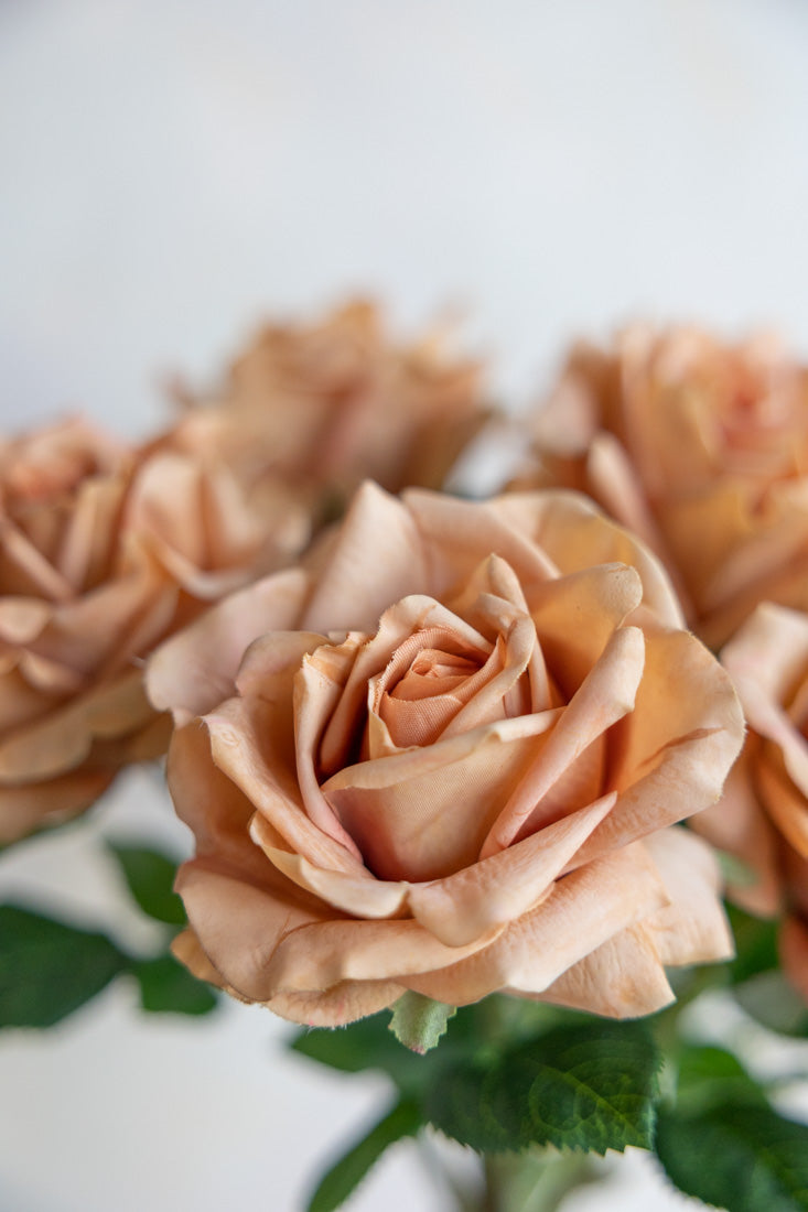 Real-Touch Classic Roses | Caramel & Elements By Tracey