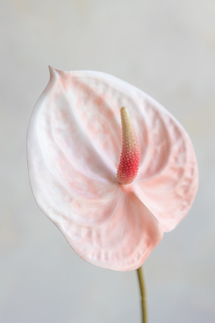 Elegant Artificial Anthurium | Seashell Blush & Elements By Tracey
